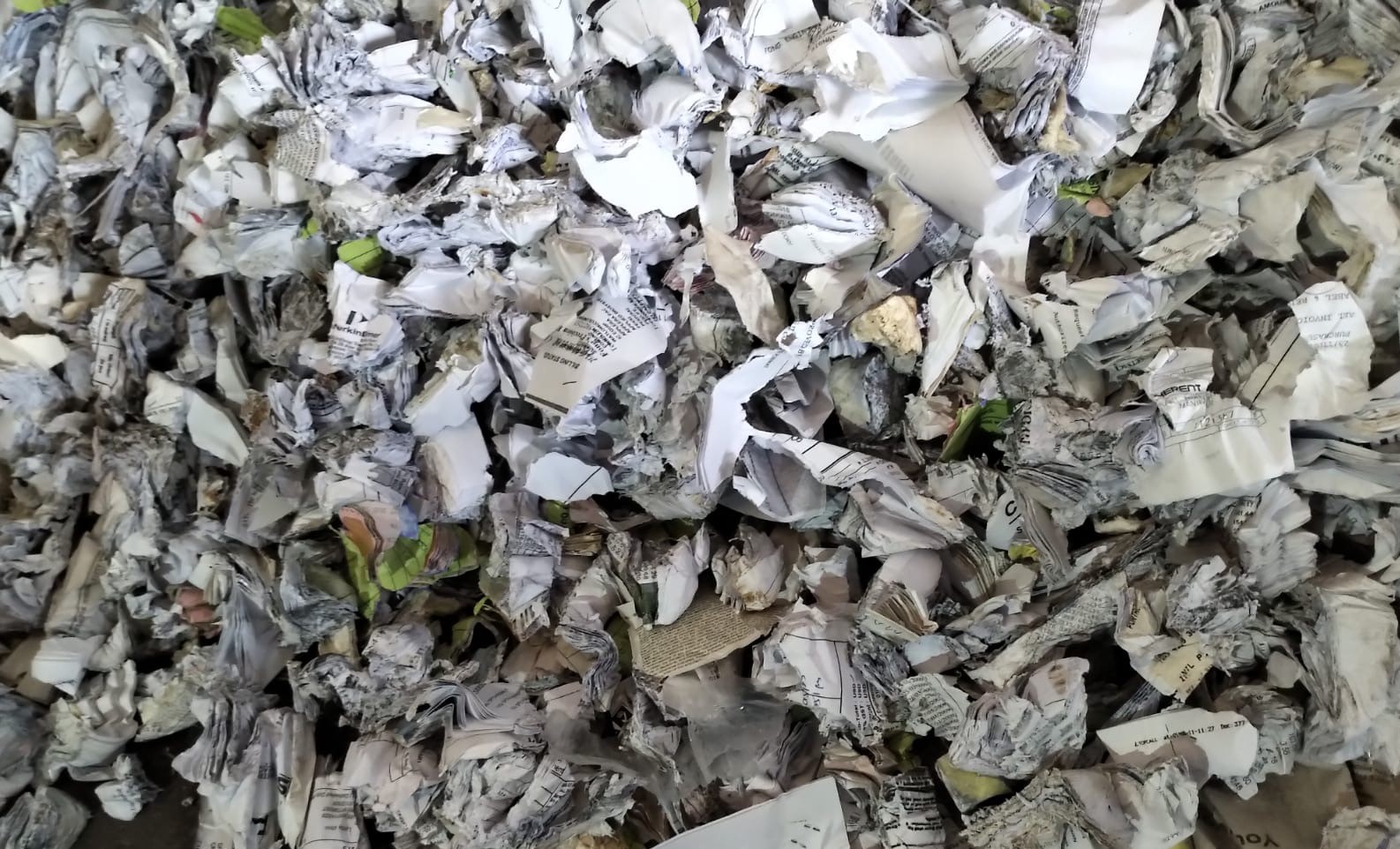 Document Shredding In Singapore Why Is It Important Arkiva Shredding